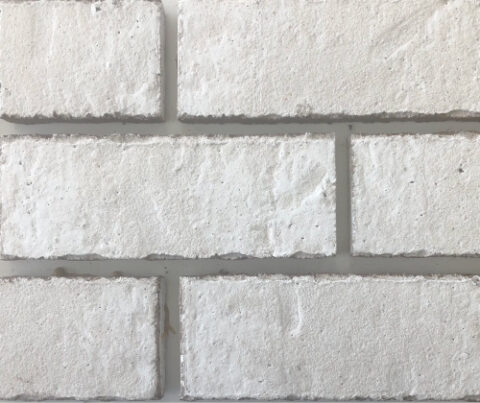 The PREMIER Thin Brick Company | Best Panel Company